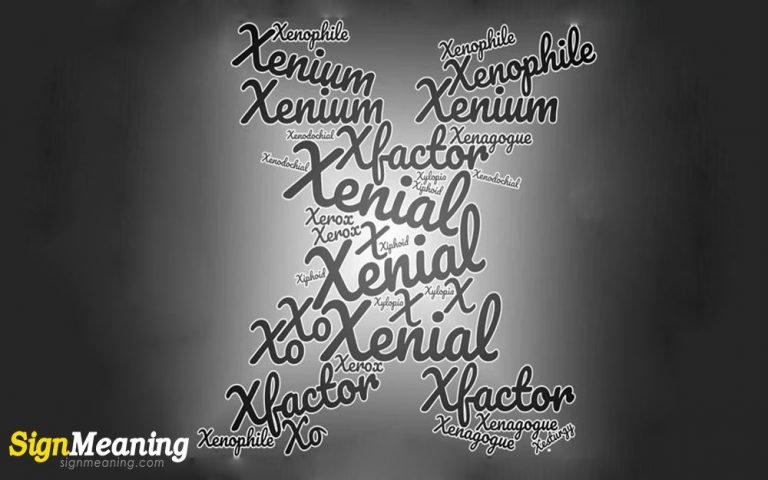 List Of Positive Words That Start With X