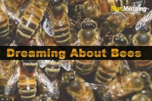 Biblical Interpretation: Symbology Behind Dreaming About Bees