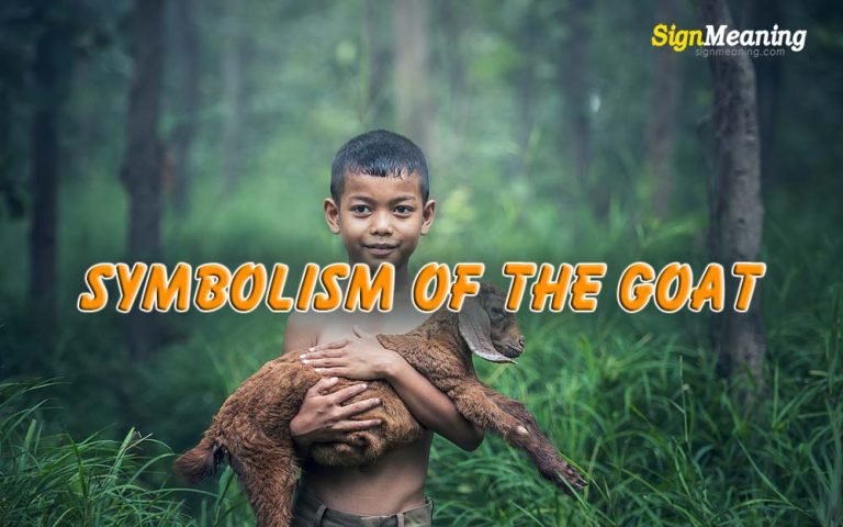 Goat – Spirit Animal, Bible Meaning and Symbolism of the Goat