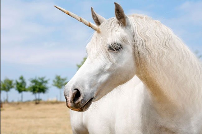 Meaning And Symbolism Of The Unicorn Sign Meaning