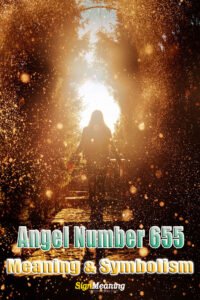 ANGEL NUMBER 655 – Meaning and Symbolism
