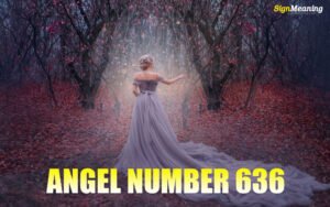 ANGEL NUMBER 636 – Meaning and Symbolism